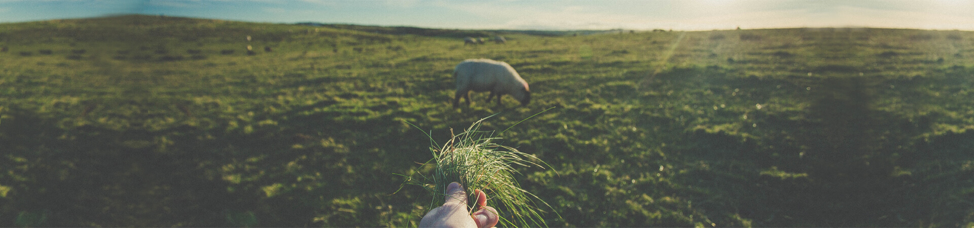 How Does It Work? - Hand Sourced