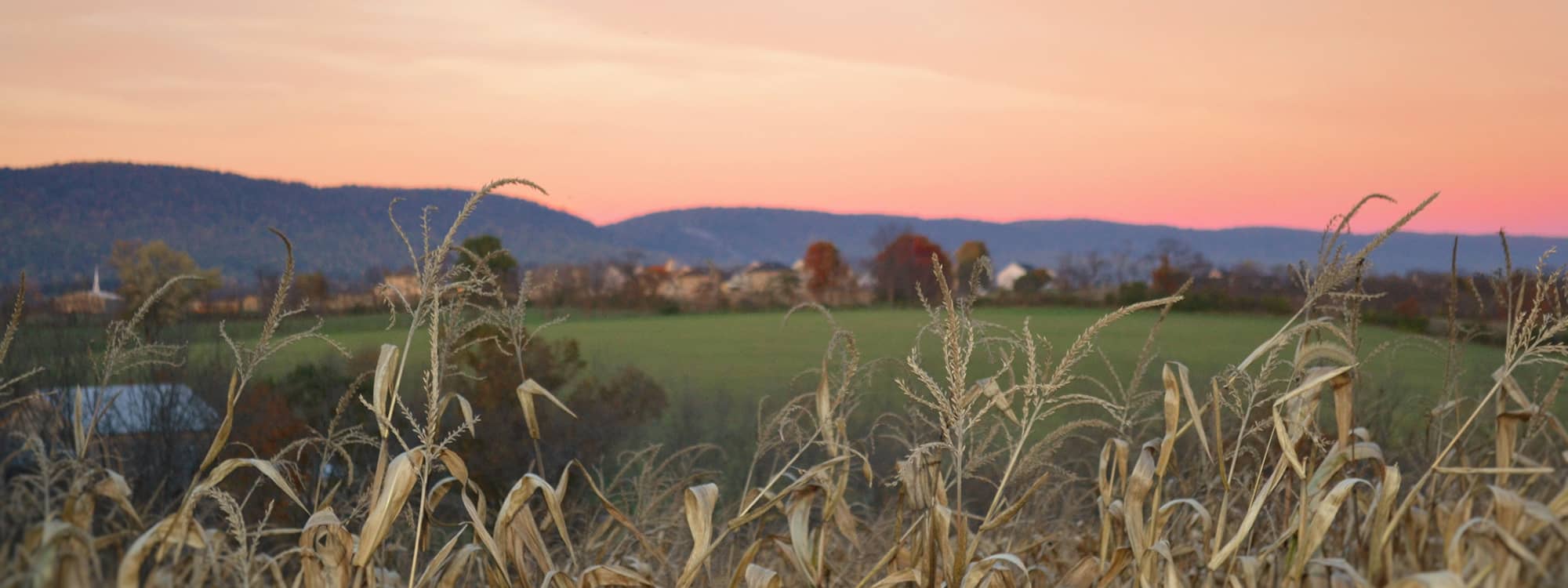 Terms and Conditions - Hand Sourced