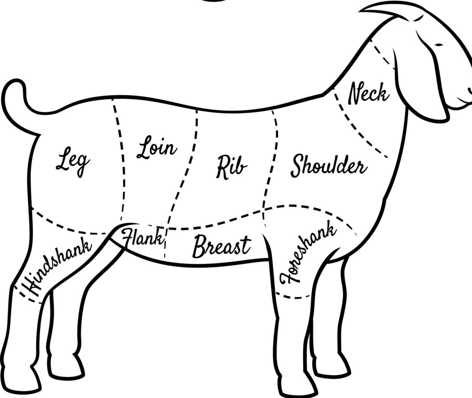 Pastured Goat: Fresh Carcasses - Hand Sourced