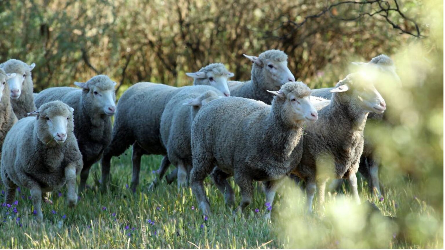 How Does It Work? - Hand Sourced