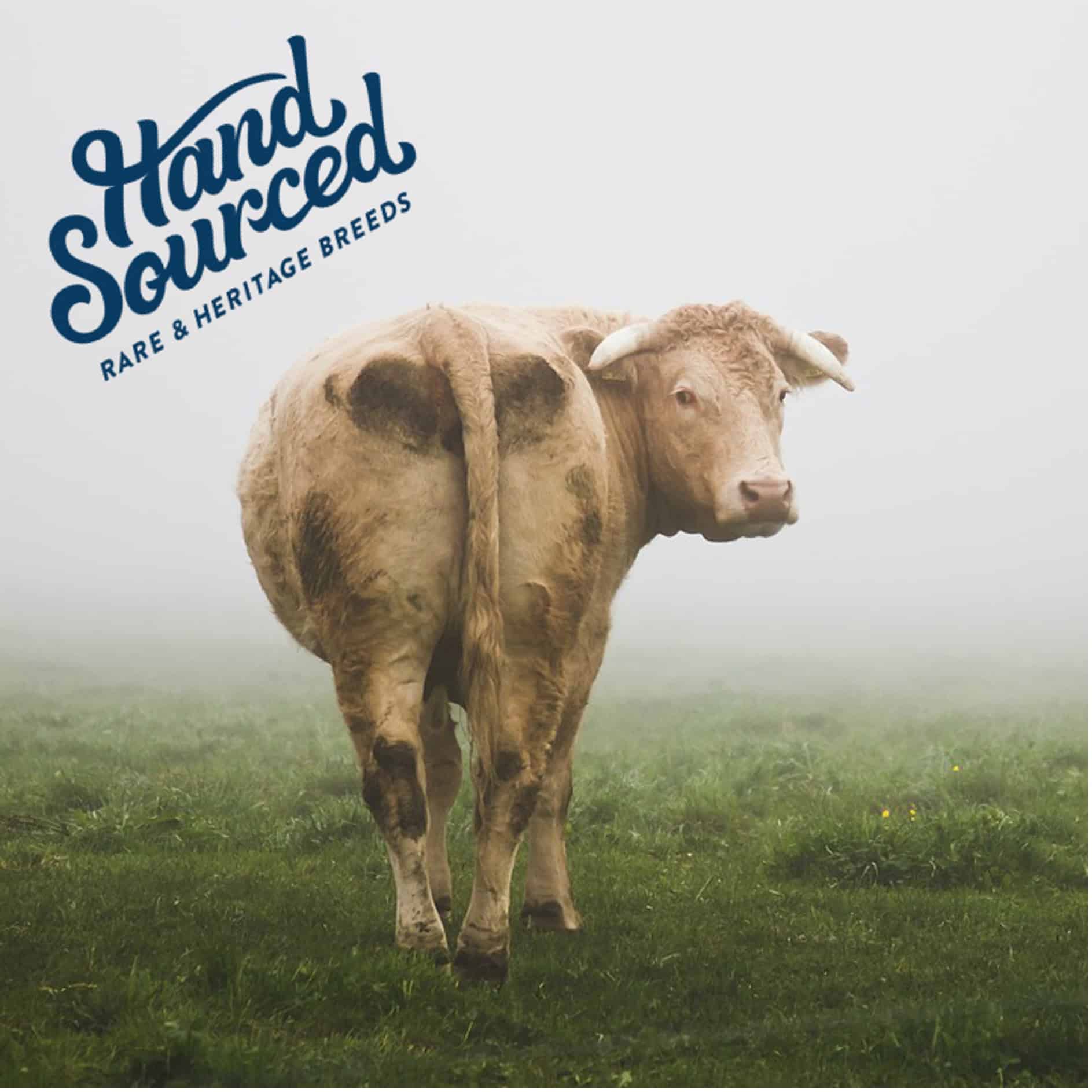 How Does It Work? - Hand Sourced